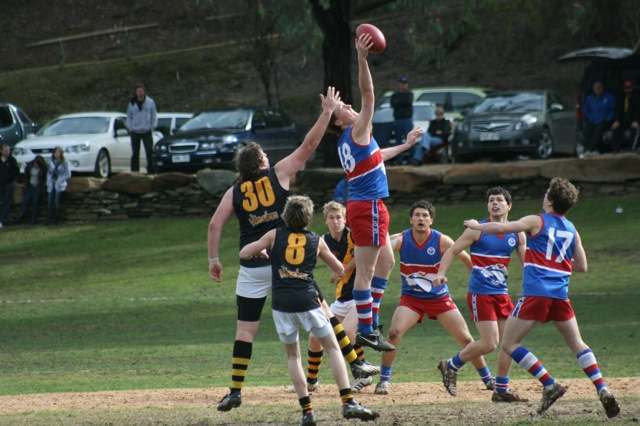 Match Reports Round 16 V Nuriootpa - Barossa District Football Netball ...