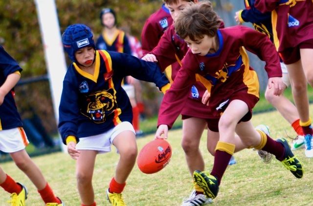 Round 4 v Caulfield Bears home - Murrumbeena JFC - GameDay