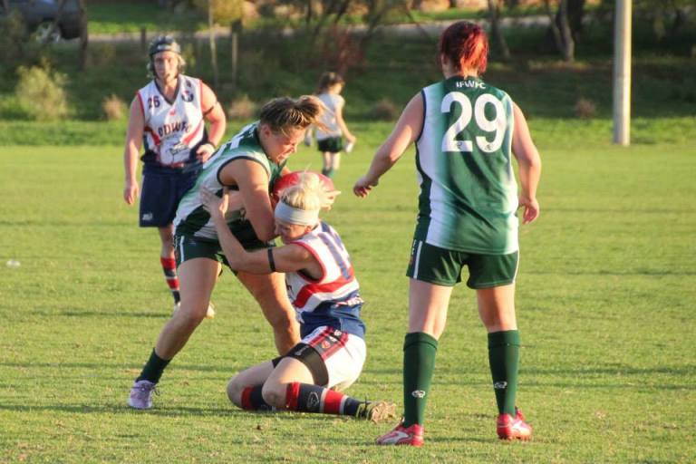 Clash of the Doggies... Take 2 - Ingle Farm - GameDay