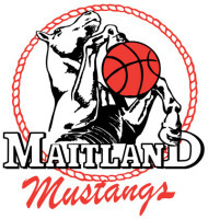 Latest News - Maitland Basketball - FOX SPORTS PULSE