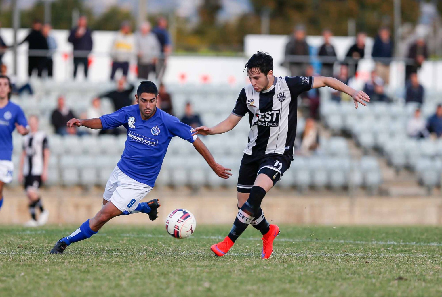 R14 Wrap Adelaide Blue Eagles v Adelaide City - Football SA NPL - GameDay