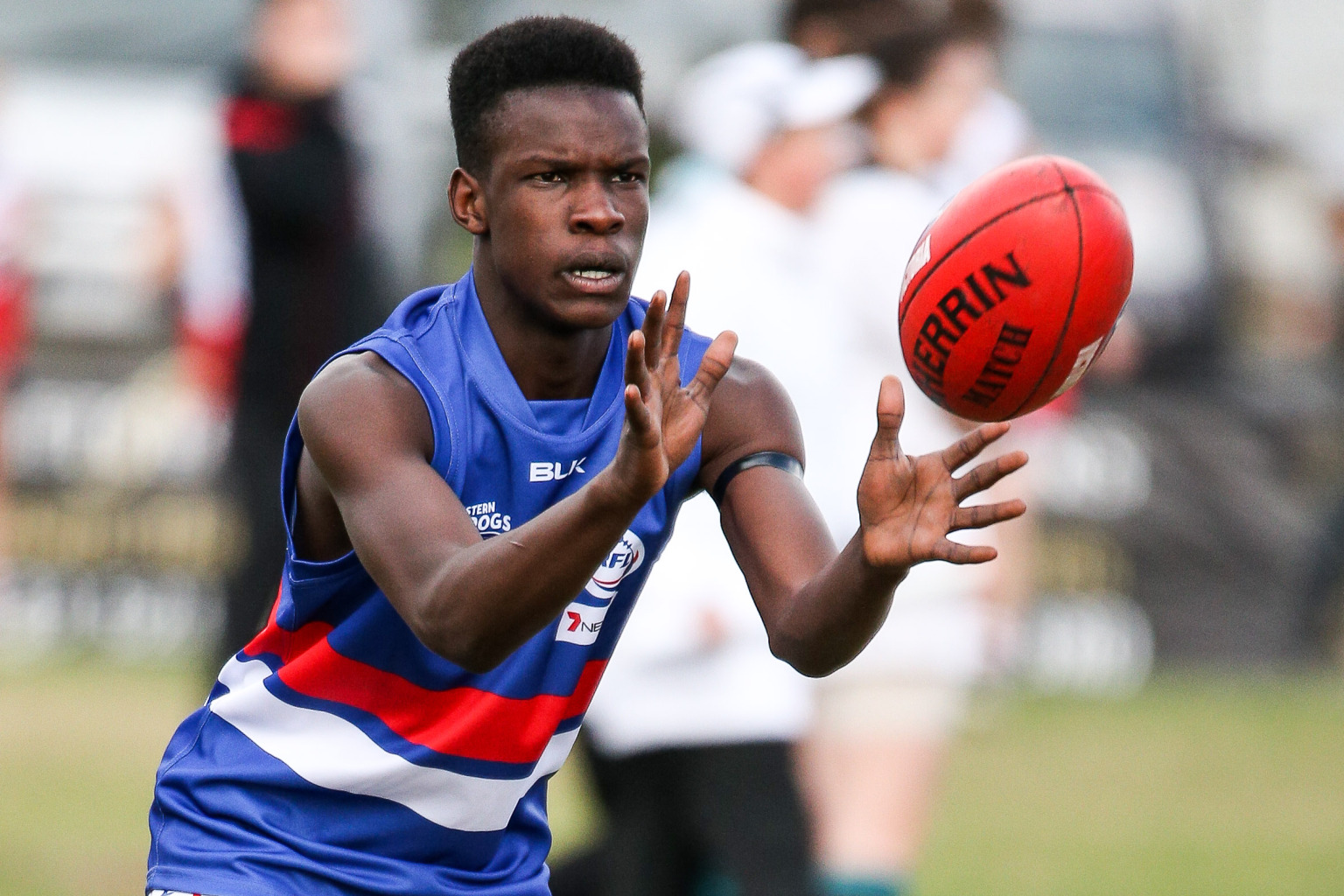 Home - Western Region Football League - GameDay