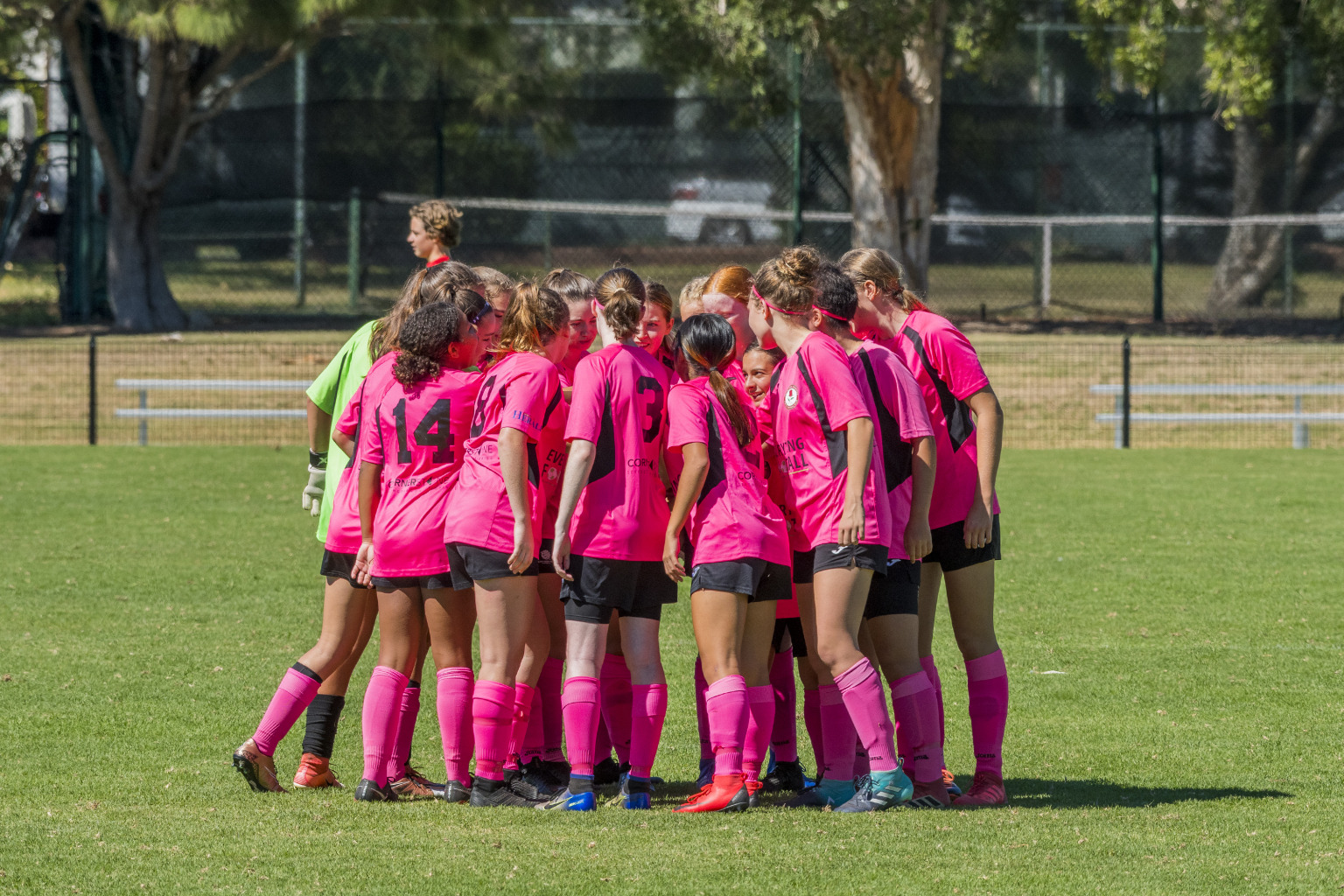 WOMENS PREMIER LEAGUE TRIALS for our 2021 Teams - Adamstown Rosebud ...